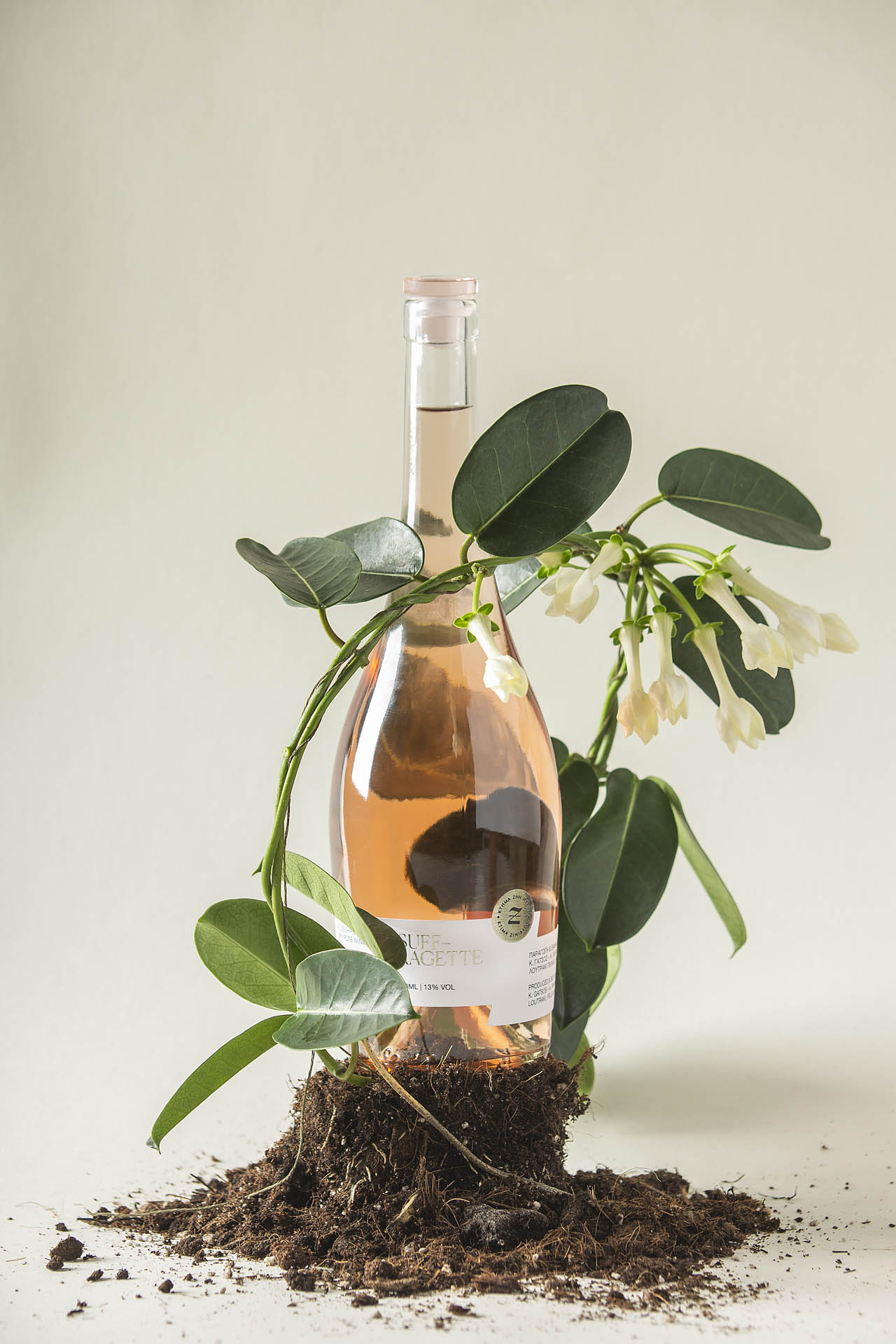 Zin Ideos - Blindstudio